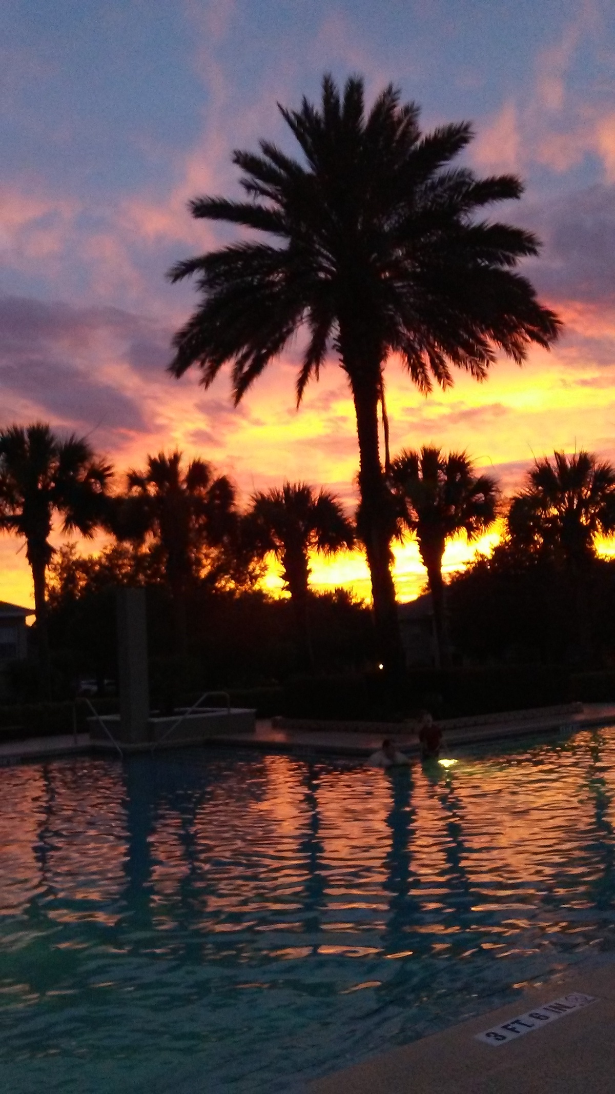 Sunset At Highlands At Heathbrook Apartments In Ocala - Ocala-News.com