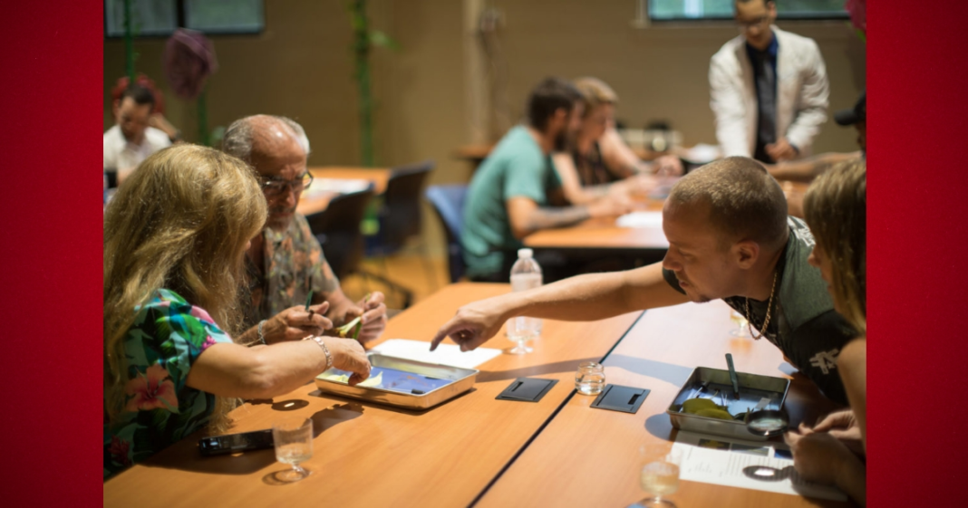 Discovery Center hosting ‘Date Night’ for adults - Ocala-News.com