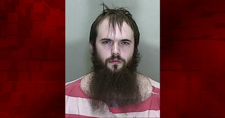 Ocala man arrested on 20 counts of possession of child pornography ...