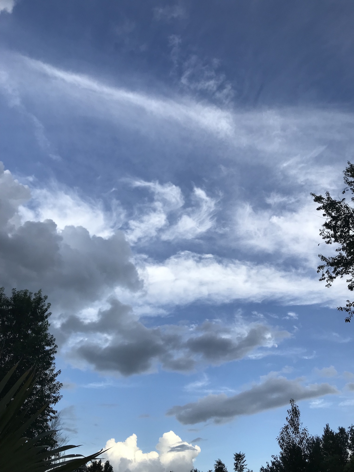 Beautiful cloudy sky over Ocala backyard - Ocala-News.com