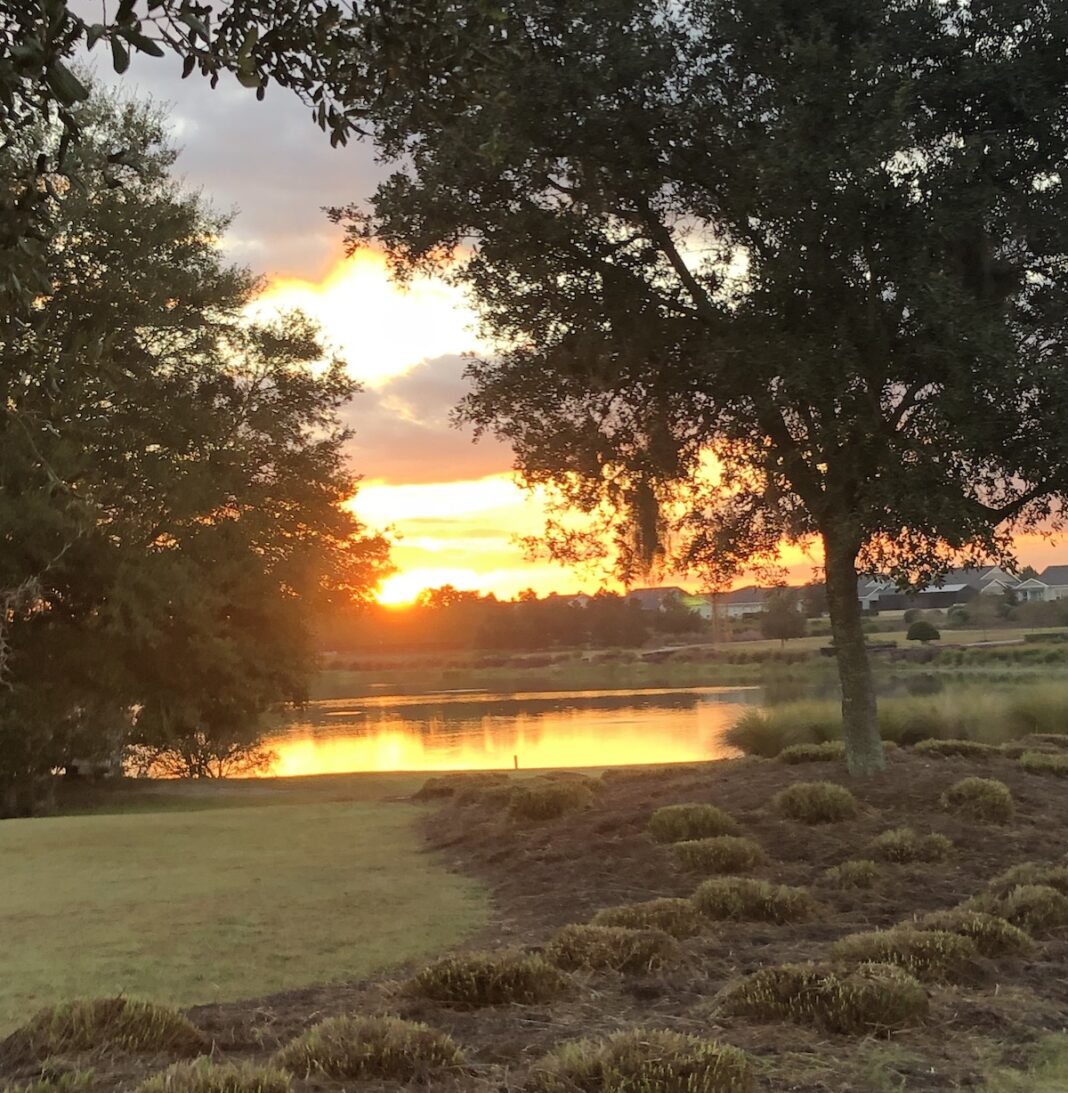 Beautiful morning sky in NW Marion County - Ocala-News.com