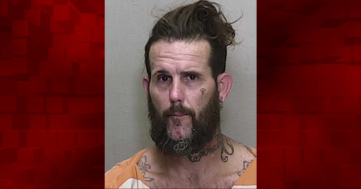 Belleview man arrested after falling asleep in running van at stop sign ...