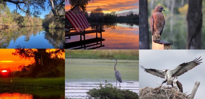 The Withlacoochee trail, river, and forest are beautiful. - Ocala-News.com