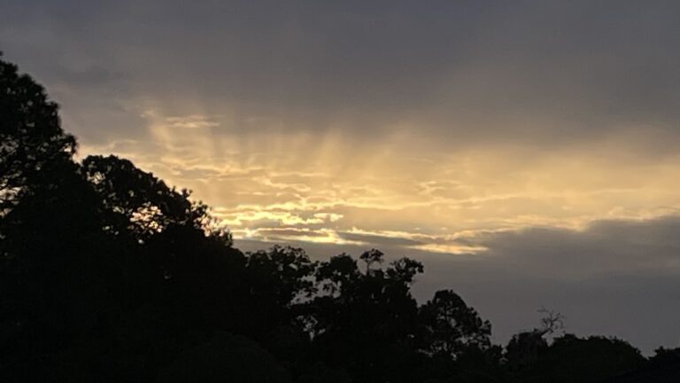 Beautiful sunrise view from College Park Ocala - Ocala-News.com
