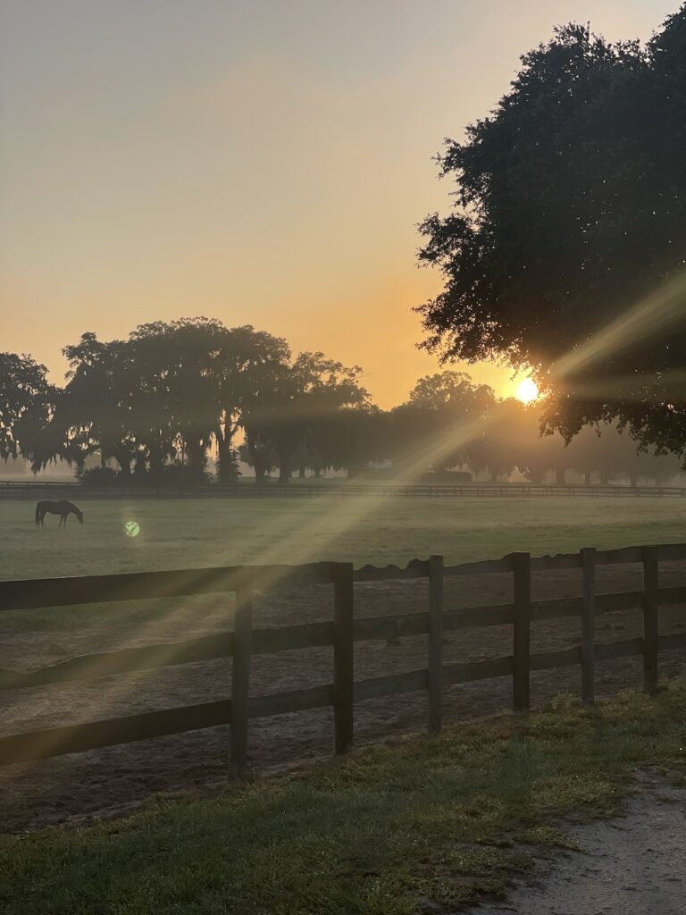 Beautiful sunrise on Daylight Farm in Reddick - Ocala-News.com