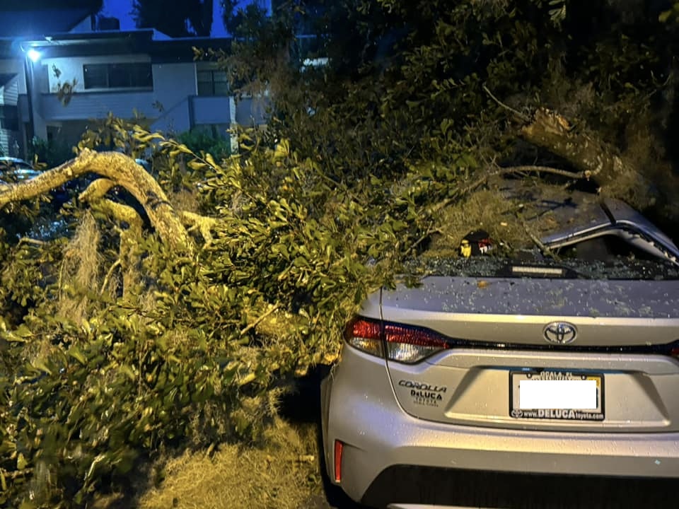 Photos show damage caused by Hurricane Helene in Ocala - Ocala-News.com