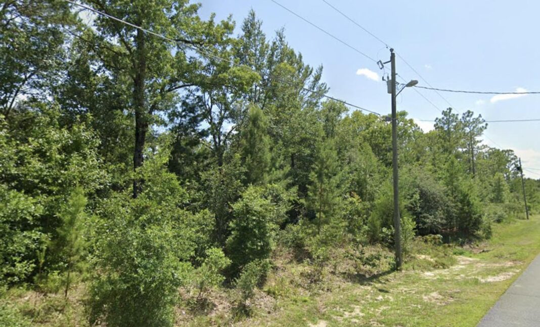 Orlando attorney seeking permit to install 123-foot cell tower in Ocala ...