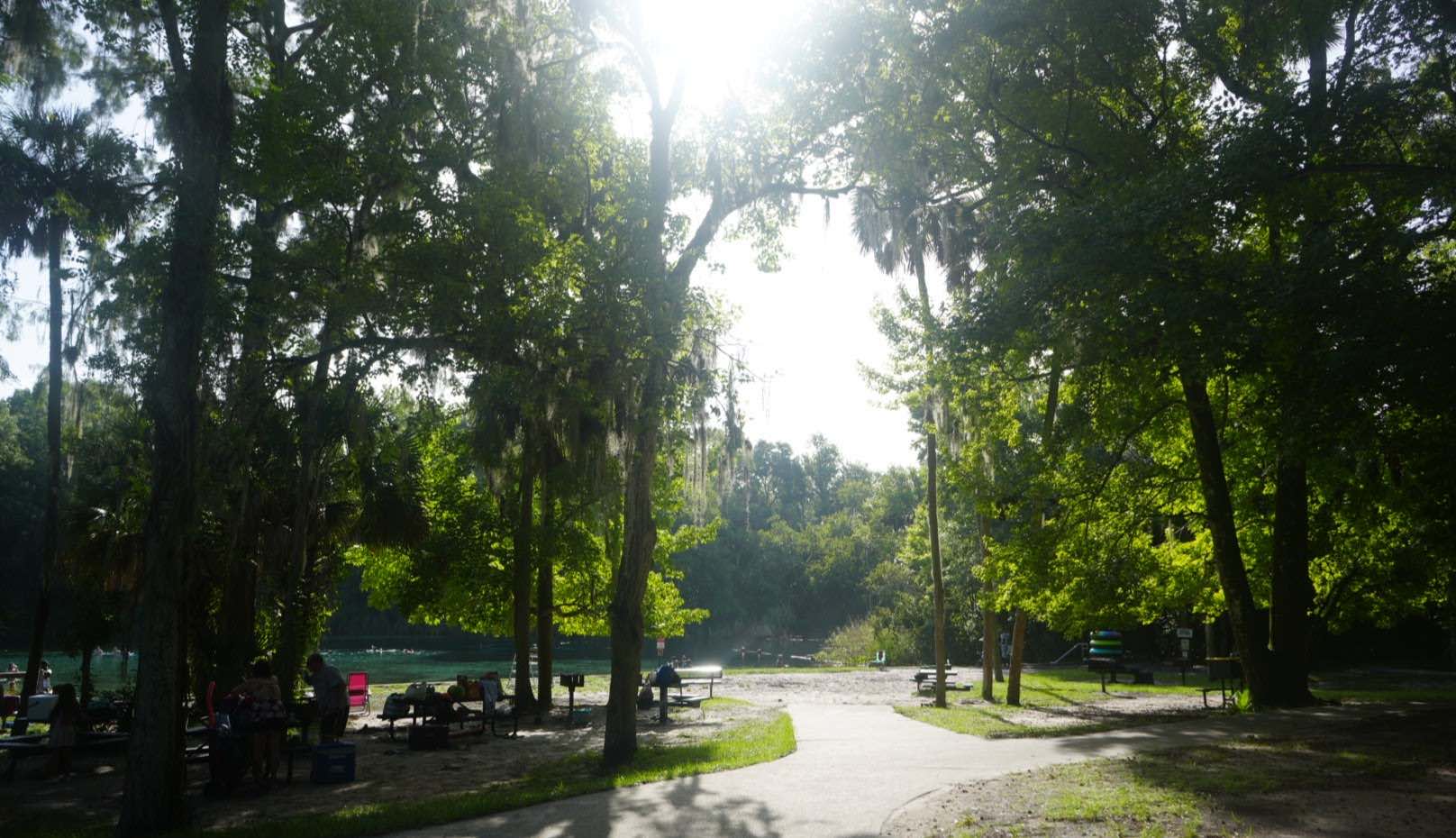 Ocala National Forest included in bill to create Florida national park ...