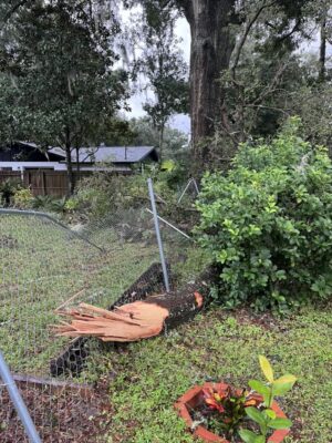 PHOTOS: Debris, damage across Marion County in aftermath of Hurricane ...