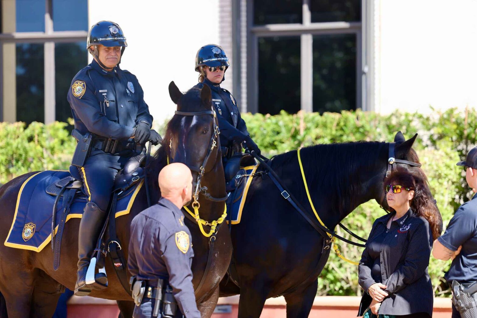 Horse officers return to Ocala as city reestablishes Mounted Patrol ...