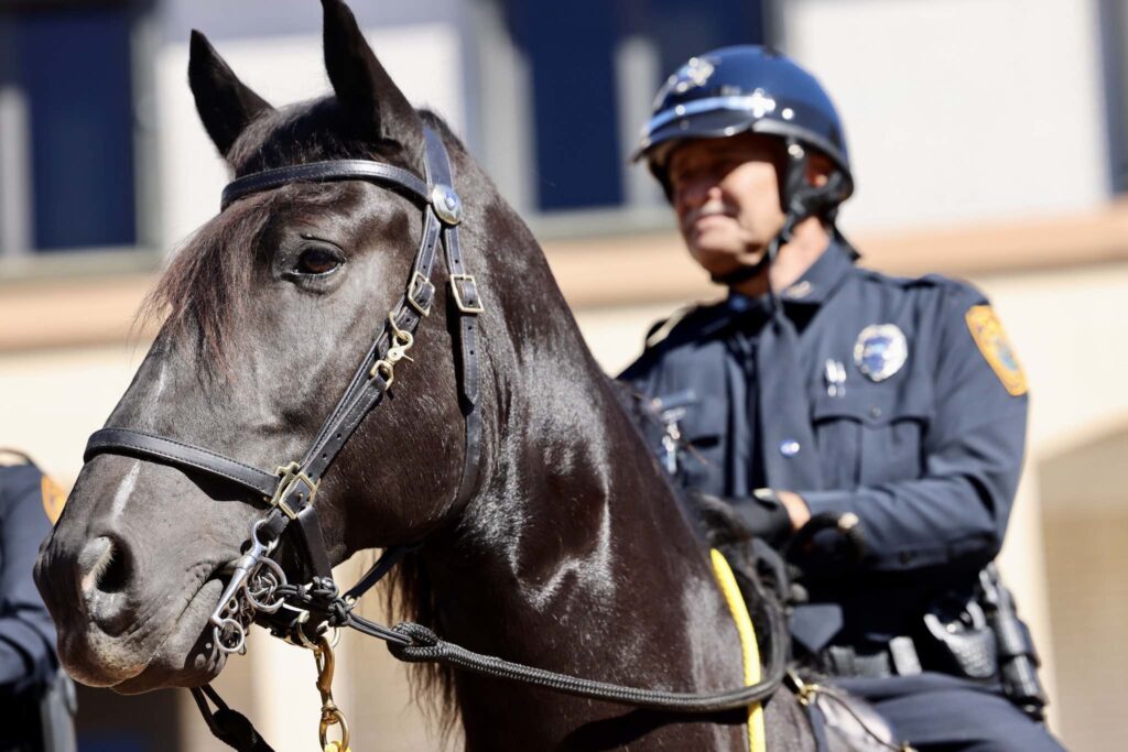 Horse officers return to Ocala as city reestablishes Mounted Patrol ...