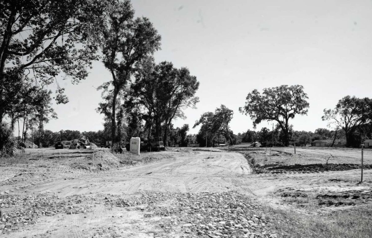 Ocala's trees and wildlife are disappearing - Ocala-News.com