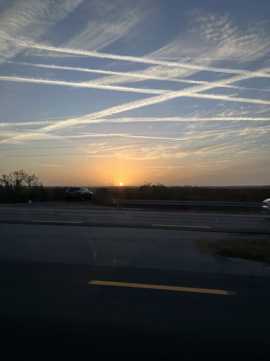 Beautiful sunset over Paynes Prairie Preserve State Park - Ocala-News.com