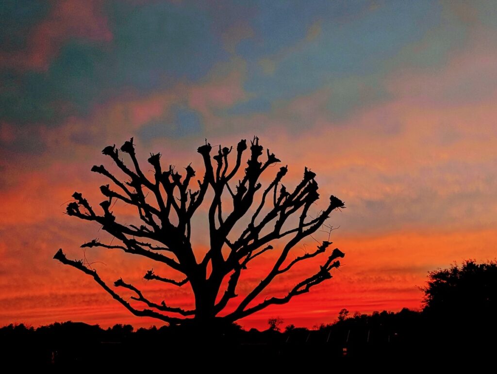 Stunning sunset after rain in Ocala's Summerglen Community - Ocala-News.com