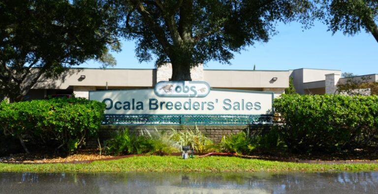Top two horses sell for over $4 million during first half of Ocala ...