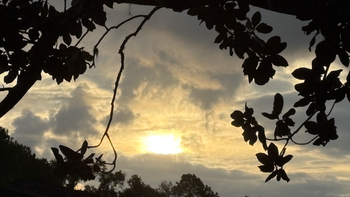 Dramatic sunrise over College Park Ocala - Ocala-News.com