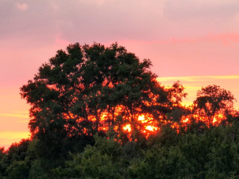 Sunset from the east side of Summercrest in Ocala - Ocala-News.com
