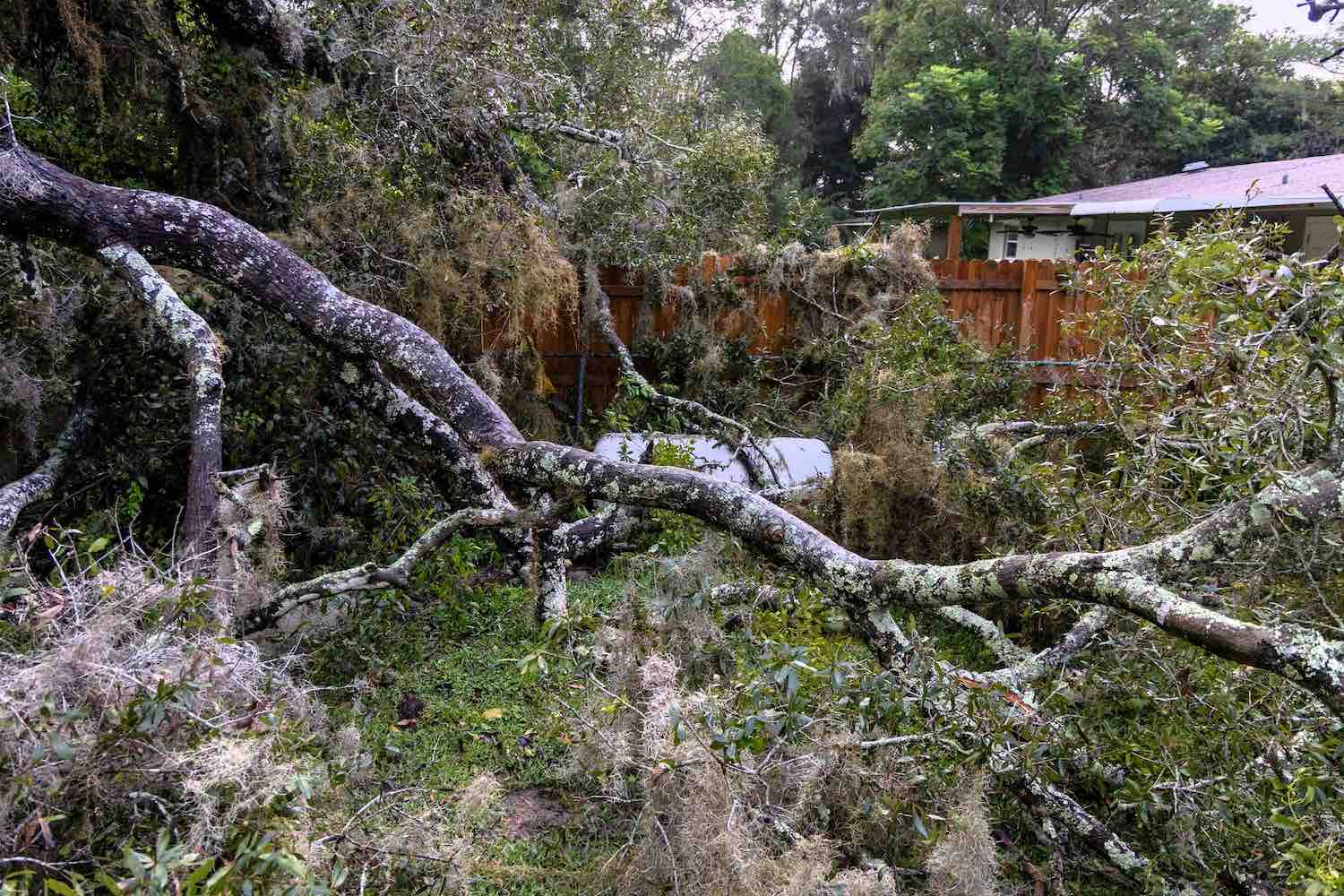 Gas leak at Ocala property caused by tree falling on 120-gallon propane ...