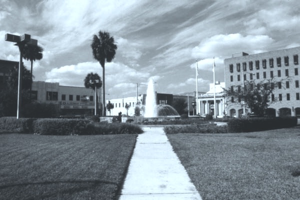 I miss Ocala's slower pace - Ocala-News.com