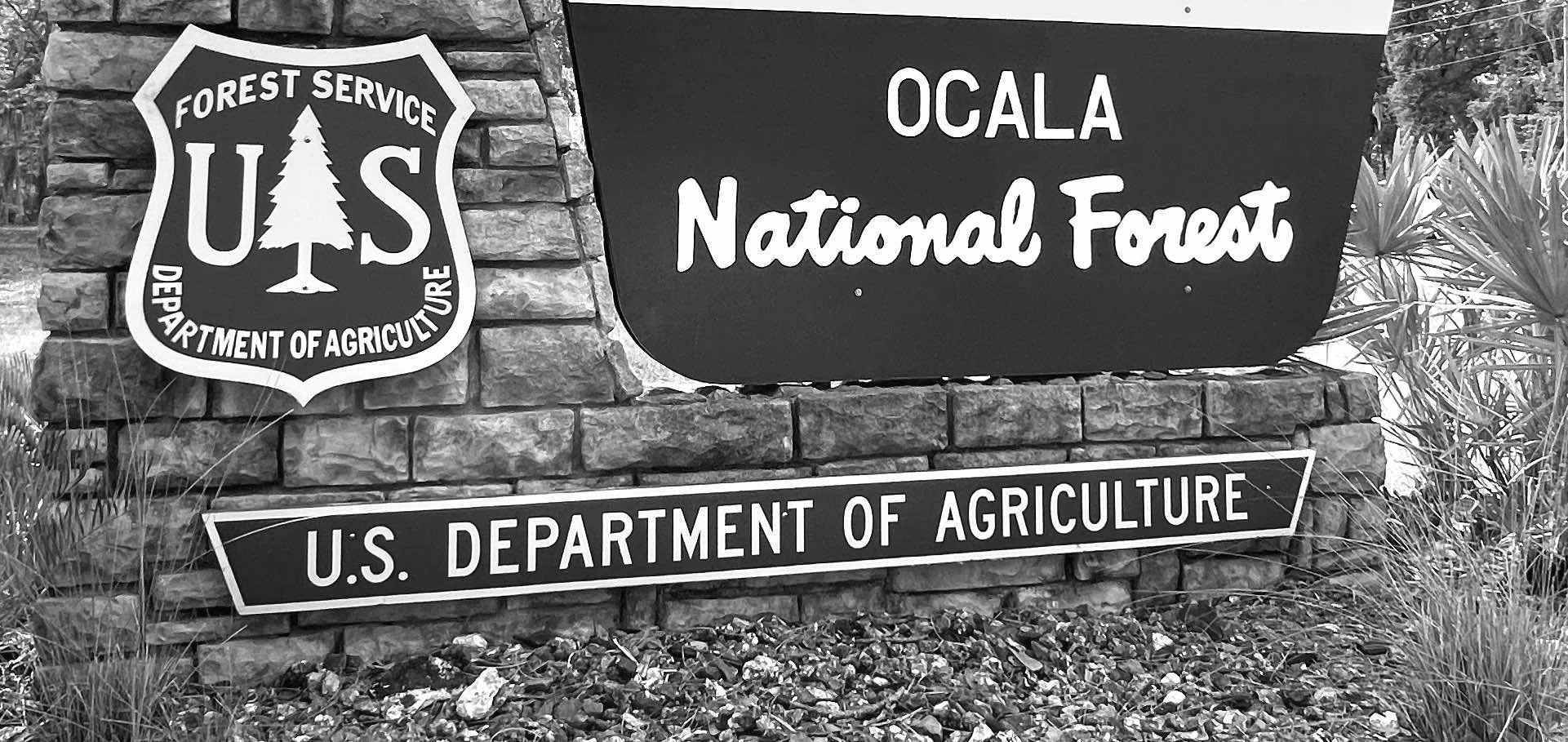 News in Ocala and Marion County, FL - Ocala-News.com
