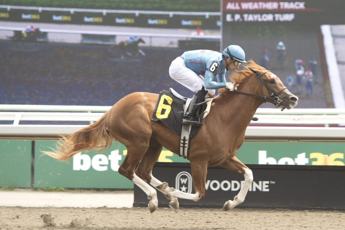 Thoroughbred owner claims Ocala vet ruined horse's value with ...