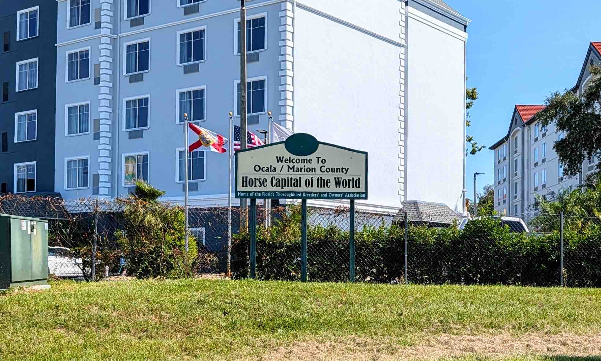I believe Ocala should rename roads after accomplished Thoroughbreds ...