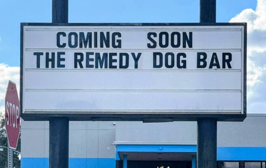 New dog bar with 5,000-sq-ft park coming to site in east Ocala - Ocala ...