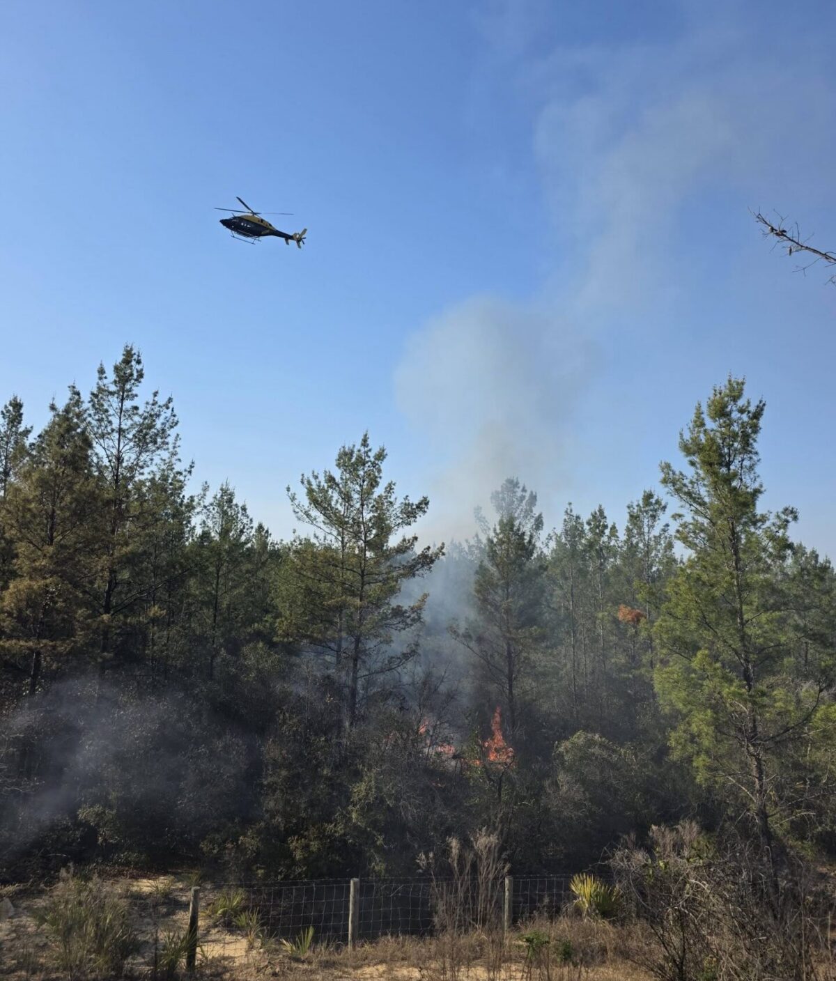 10-acre wildfire near Ocala National Forest shooting range shuts down ...