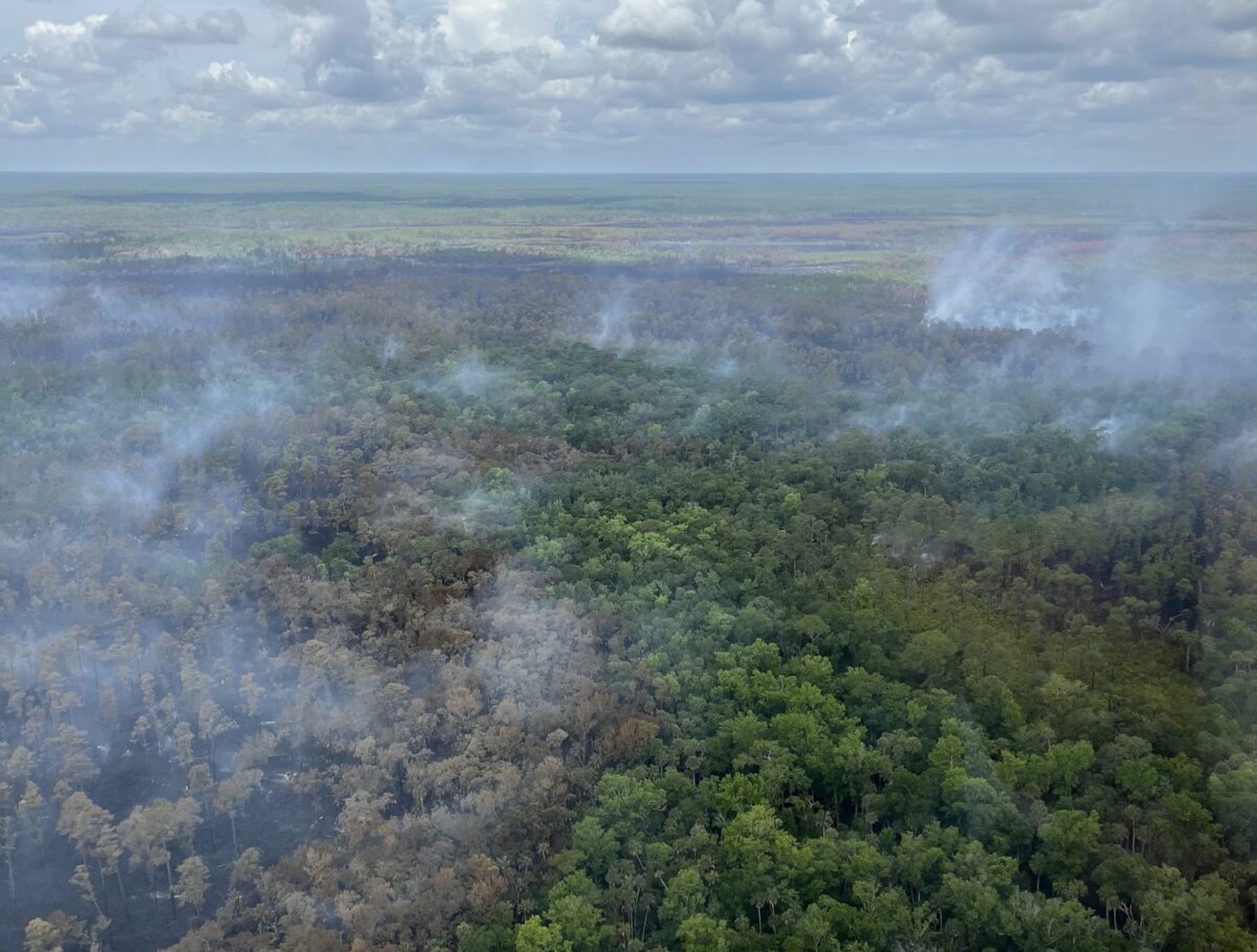 Gov't issues update on Ocala National Forest wildfires, heat, and fire ...