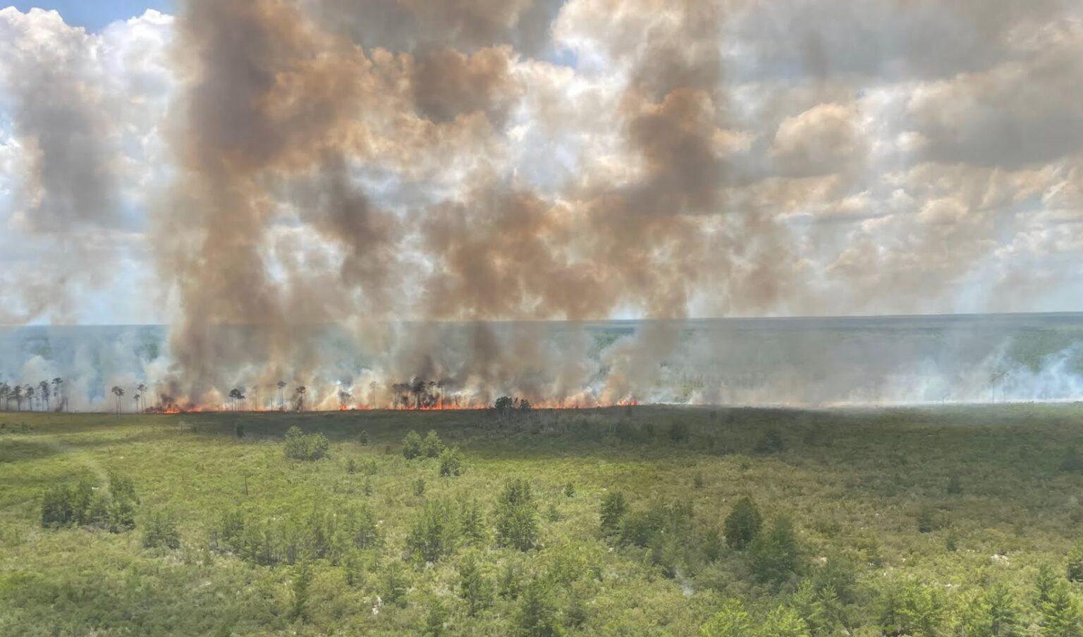 Gov't issues update on Ocala National Forest wildfires, heat, and fire ...