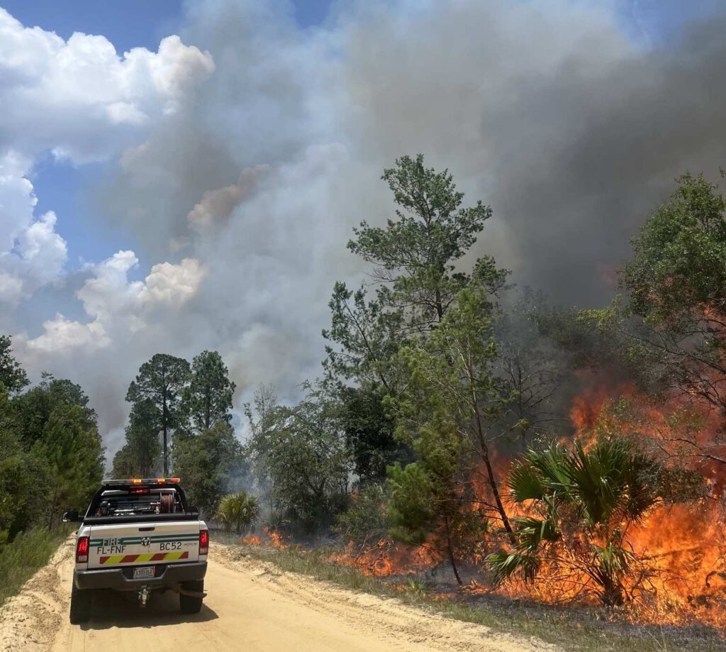 Gov't issues update on Ocala National Forest wildfires, heat, and fire ...
