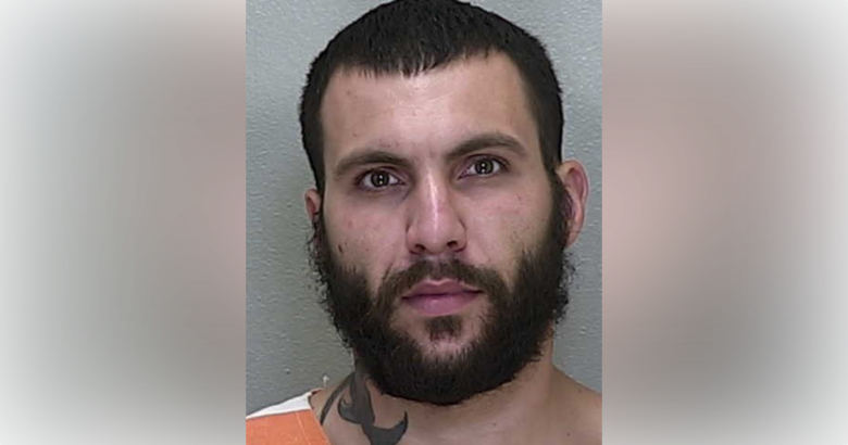 Man accused of destroying ex's car, stealing Louis Vuitton purse and ...