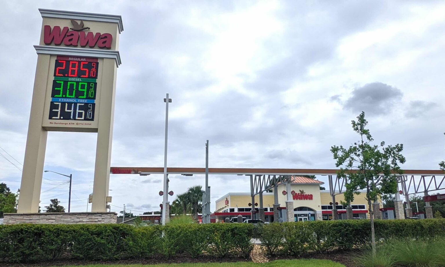 Woman files lawsuit against Ocala Wawa for slip-and-fall near drink ...