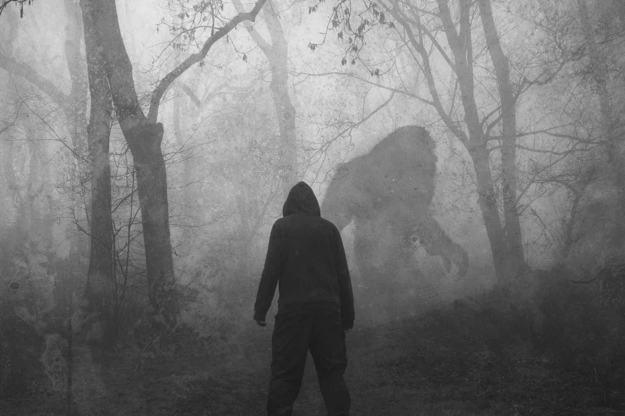 Bigfoot conference returning to Ocala this weekend - Ocala-News.com