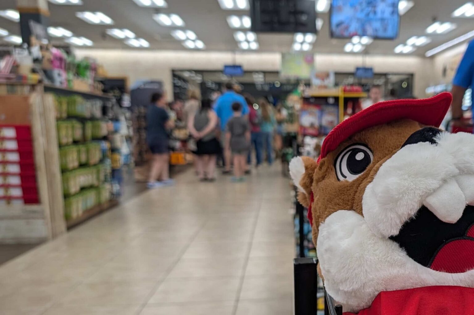Readers share opinions about Buc-ee's in Ocala - Ocala-News.com