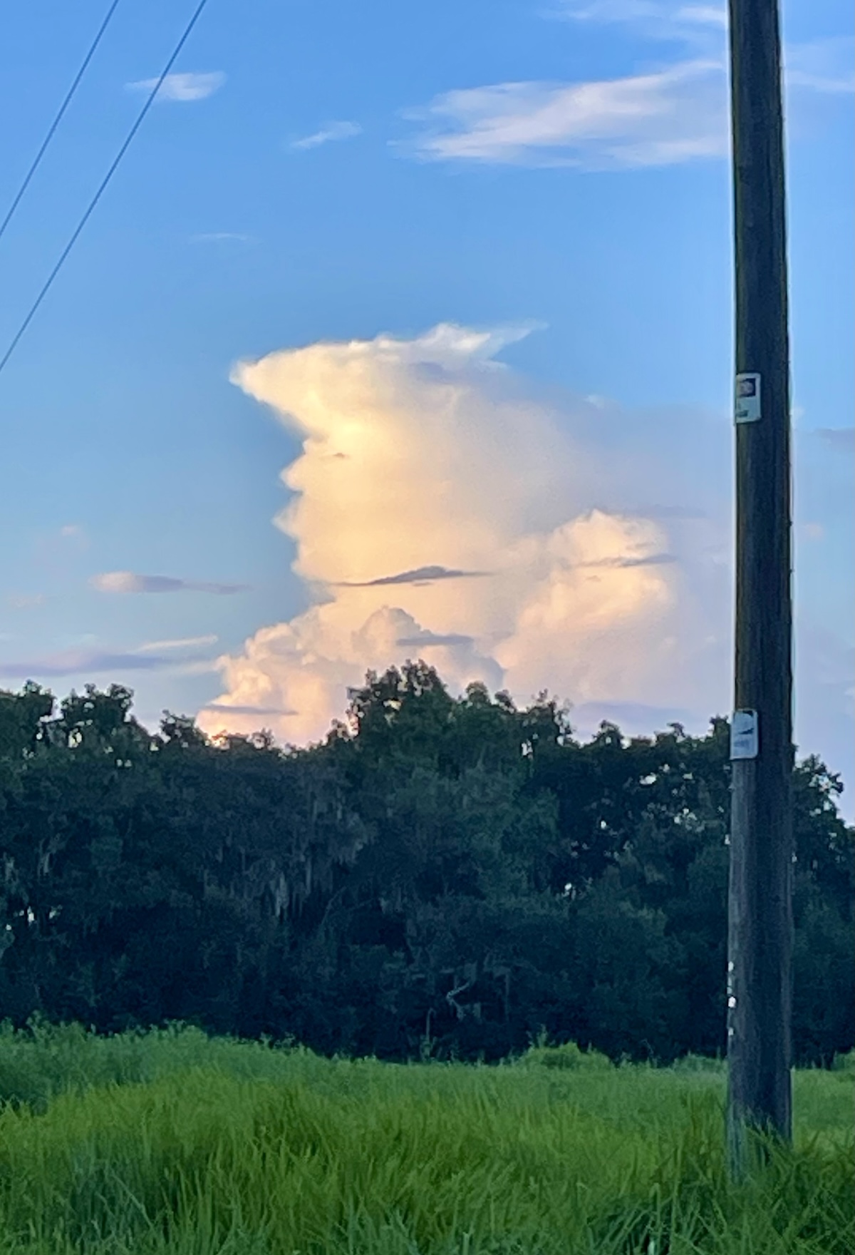 Distinct cloud formation spotted over Reddick - Ocala-News.com