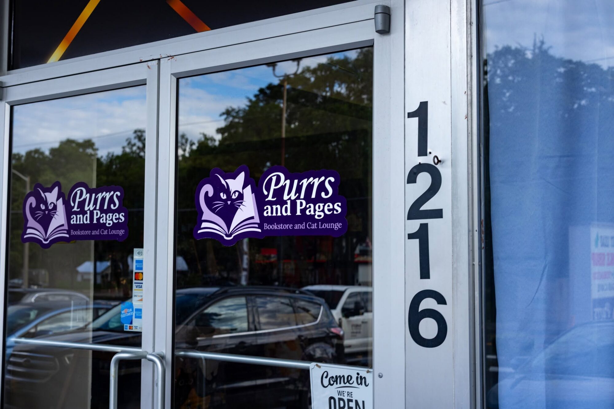 First cat cafe in Ocala now open - Ocala-News.com