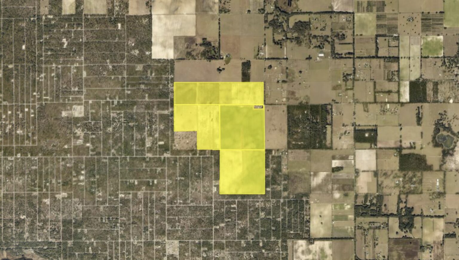 600 acres in west Marion sold for $6 million to luxury horse farm ...
