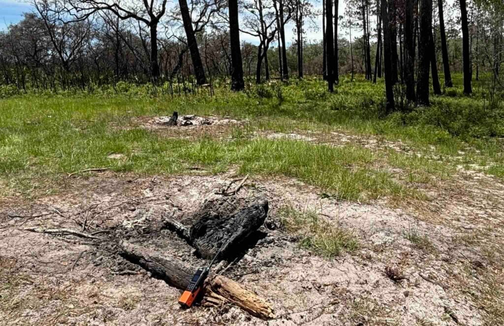 Firefighters extinguish large unattended campfire in Ocala National ...