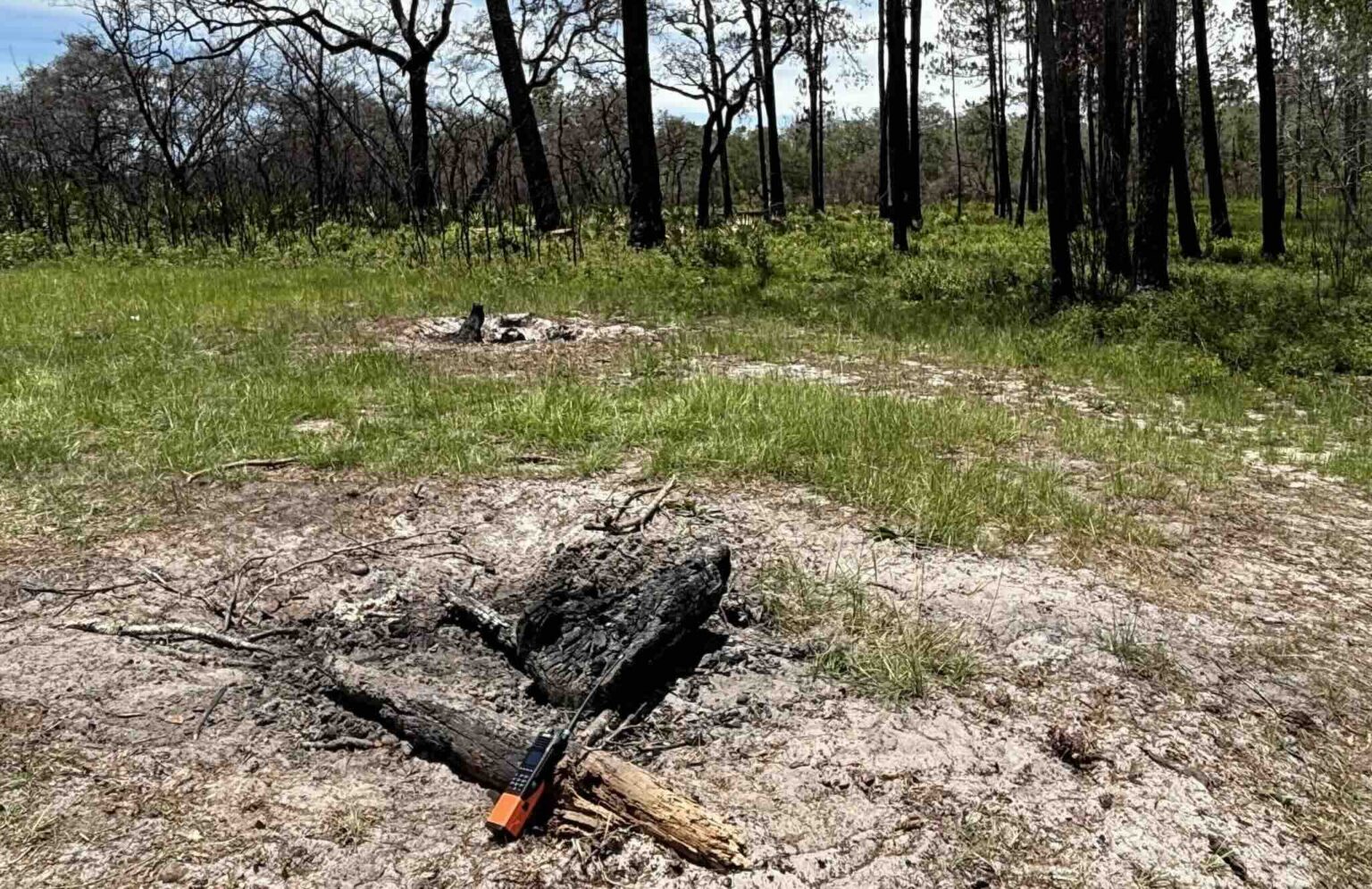Firefighters extinguish large unattended campfire in Ocala National ...