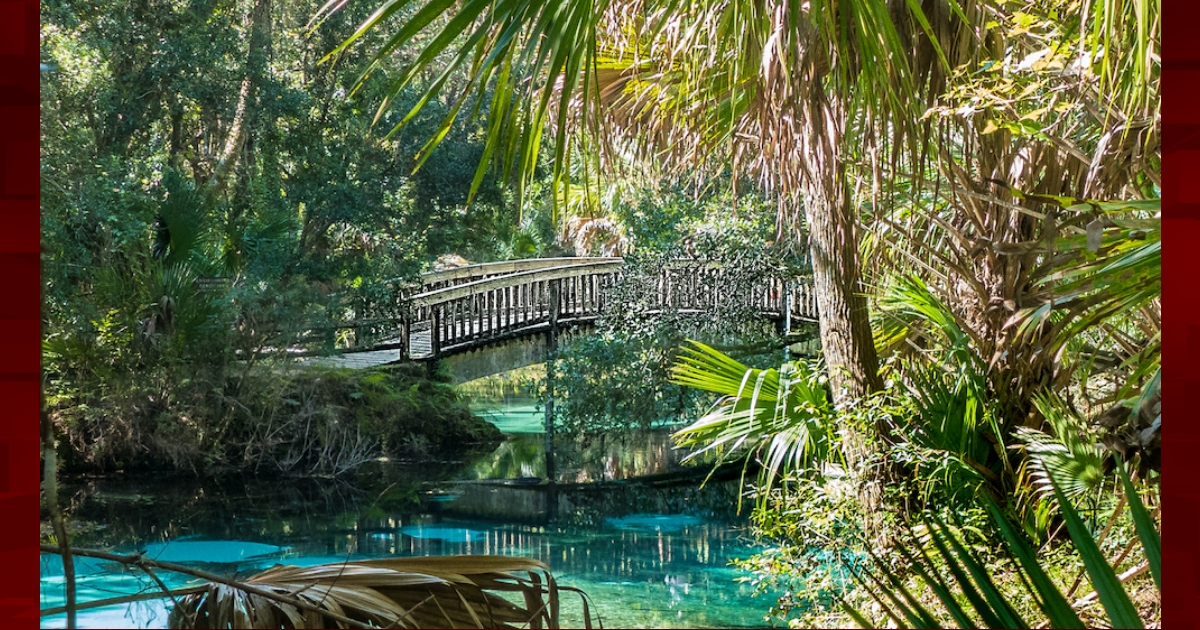 Bridge Through Ocala National Forest - Ocala-News.com