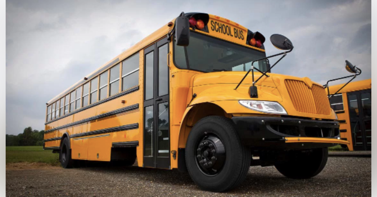 Large oak tree falls on school bus carrying special needs children ...