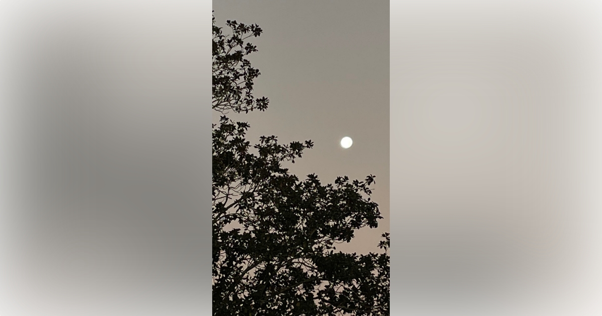 Wolf Moon Setting Over College Of Central Florida - Ocala-News.com