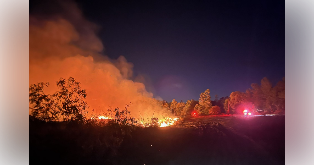 Vehicle ignites 20-acre wildfire in Ocala National Forest after going ...