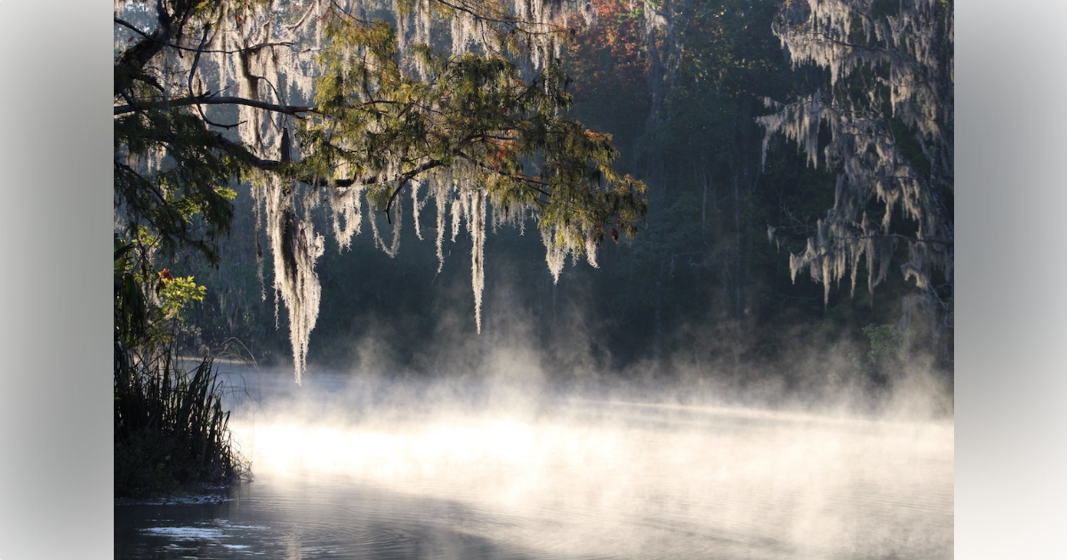 Morning light at Silver Springs State Park - Ocala-News.com
