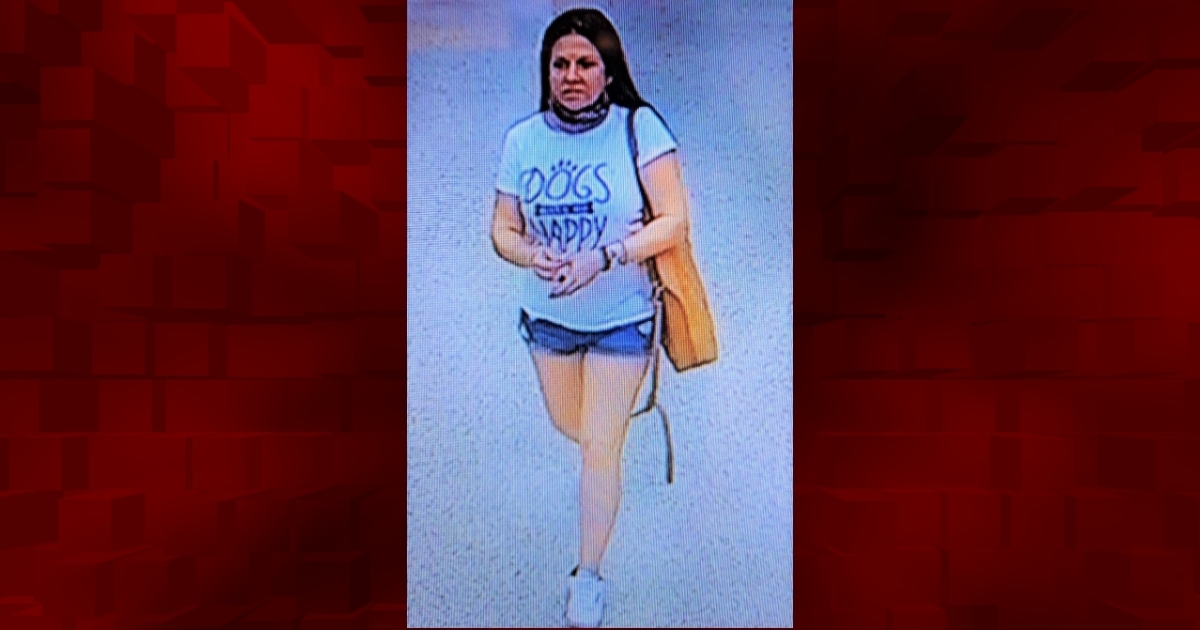 Marion sheriff searching for bandit who ripped off groceries from ...