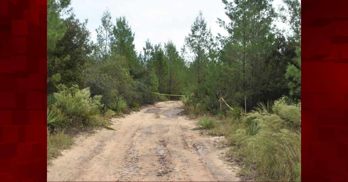 Deer hunter finds human remains buried off trail in Ocala National ...