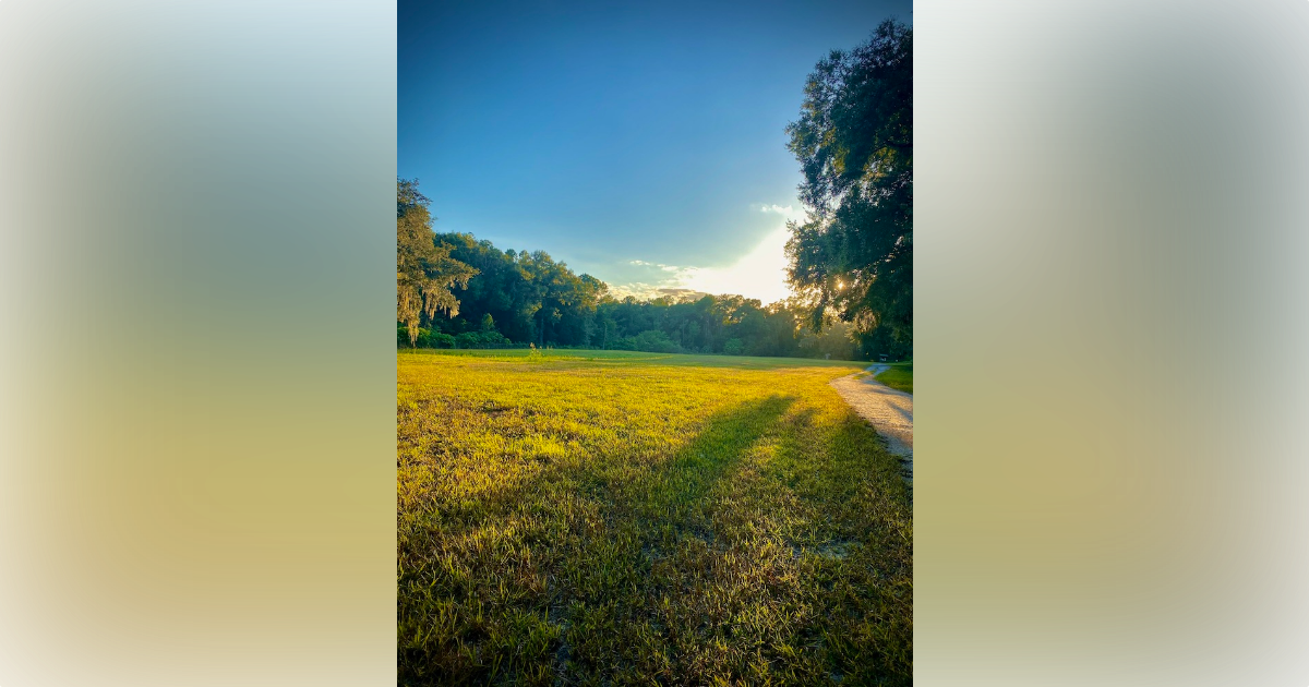 Vortex Section Of The Santos Mountain Bike Trails - Ocala-News.com