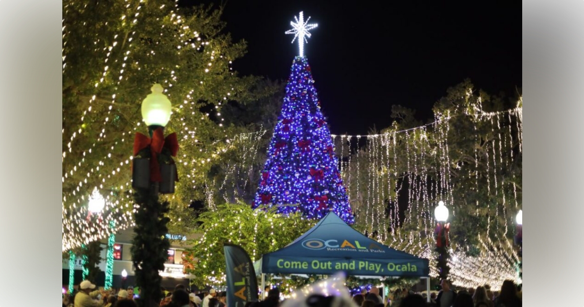 Vendors needed for 39th annual Light Up Ocala - Ocala-News.com