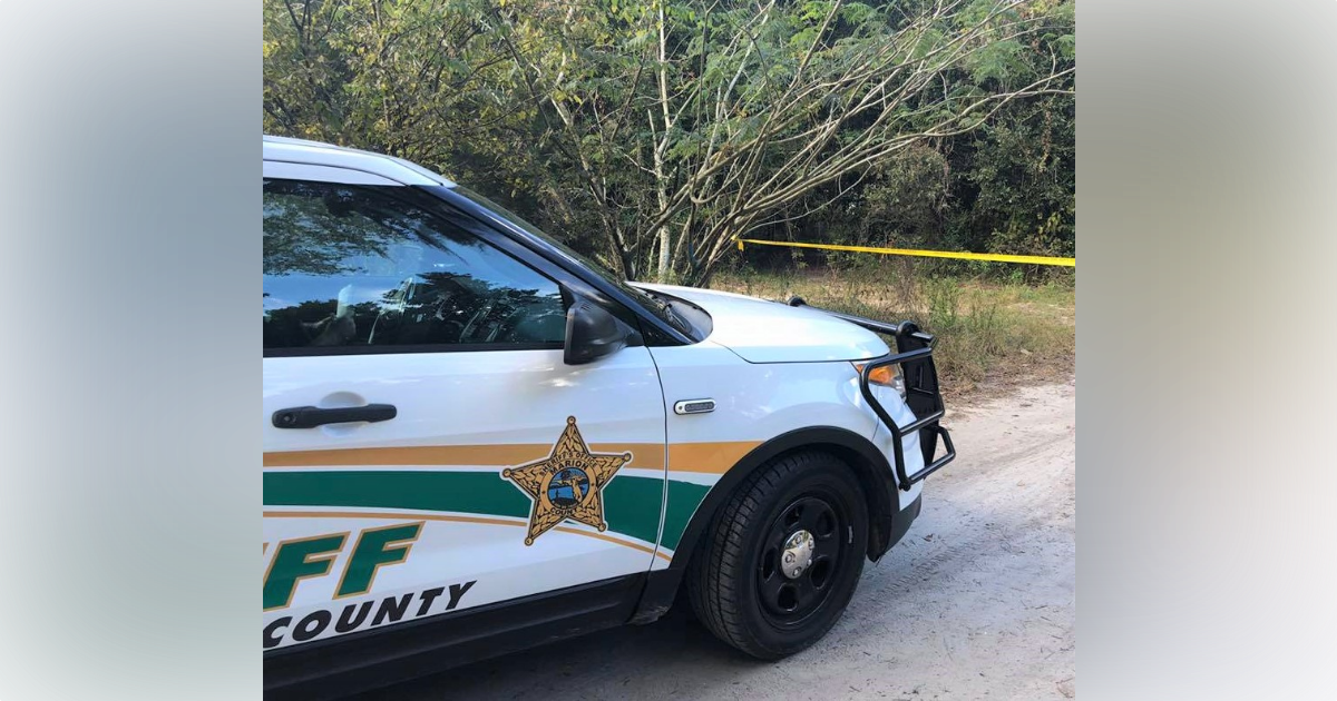 65-year-old pilot killed when small plane crashes in Ocala National ...